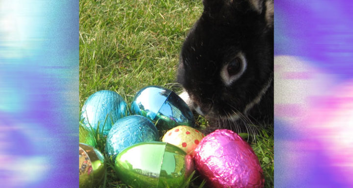 Quick Easter Crafts and Facts - Learning Liftoff