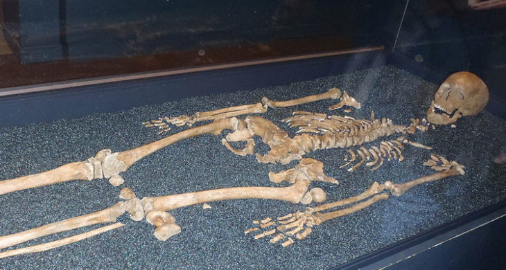 How the Jamestown Skeletons Can Help Kids Love History - Learning Liftoff