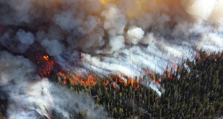 Wildfires! Best Ways for Kids to Learn about Them - Learning Liftoff