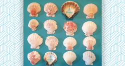 5 Summer Math Enrichment Activities for Kids - Learning Liftoff