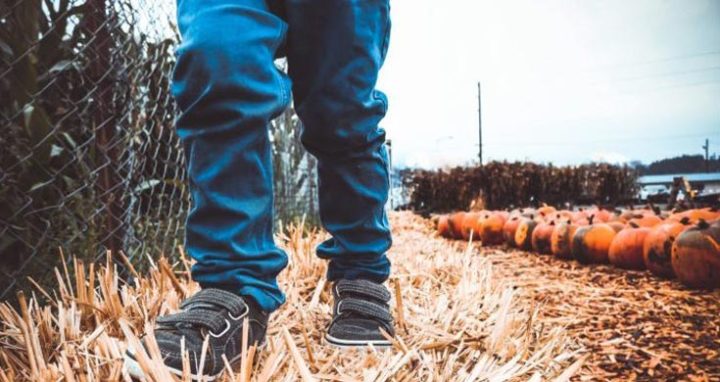 5 Fall Outdoor Learning Activities for the Entire Family - Learning Liftoff