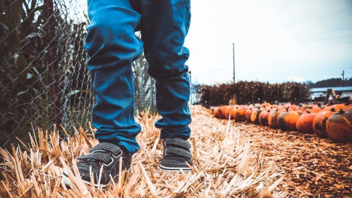5 Fall Outdoor Learning Activities for the Entire Family - Learning Liftoff